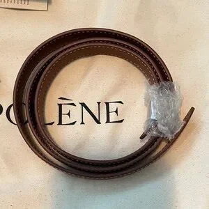 Polene | Bags | Polene Cognac Numero Dix Crossbody Bag | Poshmark